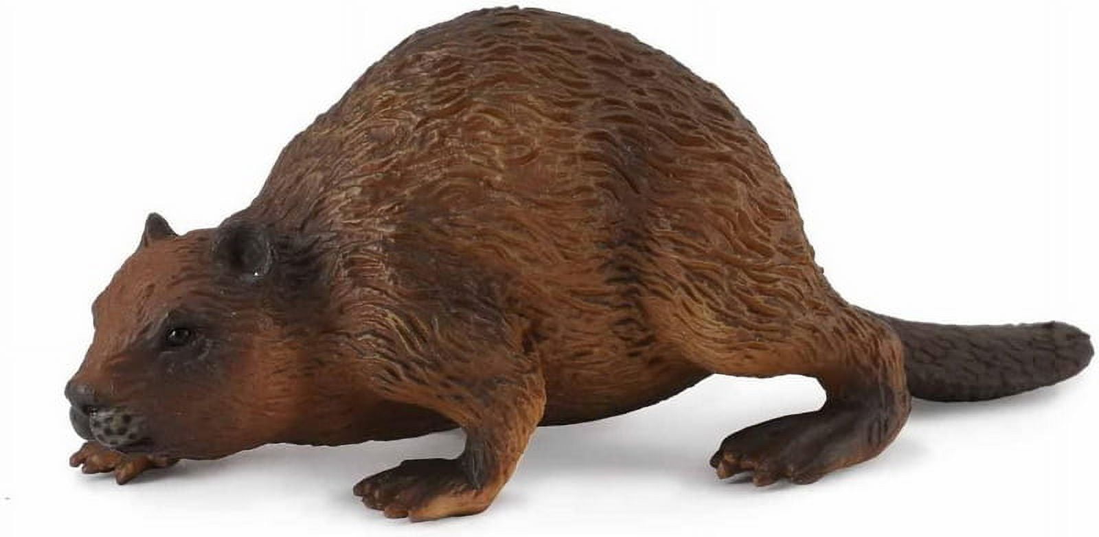 CollectA Wildlife Collection Miniature Figure | Woodlands Beaver ...