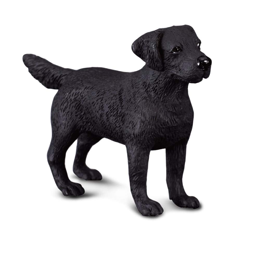 Labrador Action Figure for Preschool Classroom Animal Lessons - Walmart ...