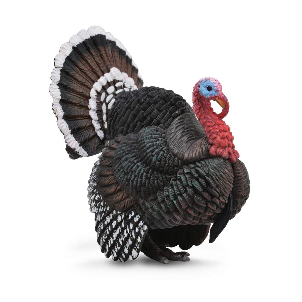 Collecta Turkey Animal Toy - Walmart.com