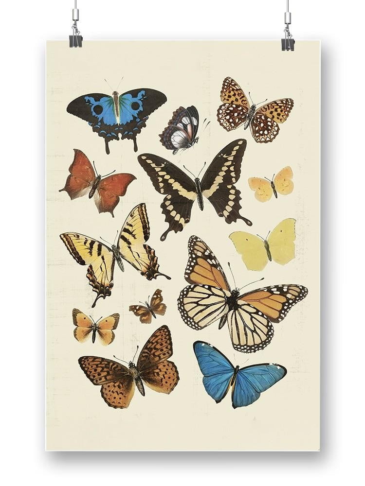 Collected Flutter Ii Poster - Victoria Barnes Designs, - Walmart.com