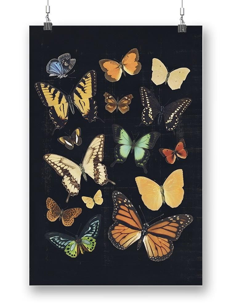 Collected Flutter Iii Poster - Victoria Barnes Designs, - Walmart.com