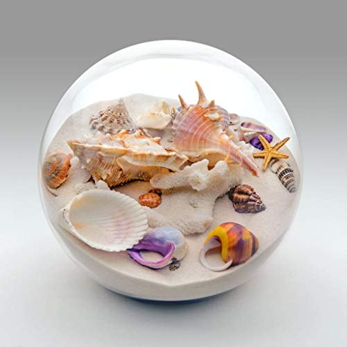 Collectible Sand and Seashell Sandglobe. Cherish - Walmart.com