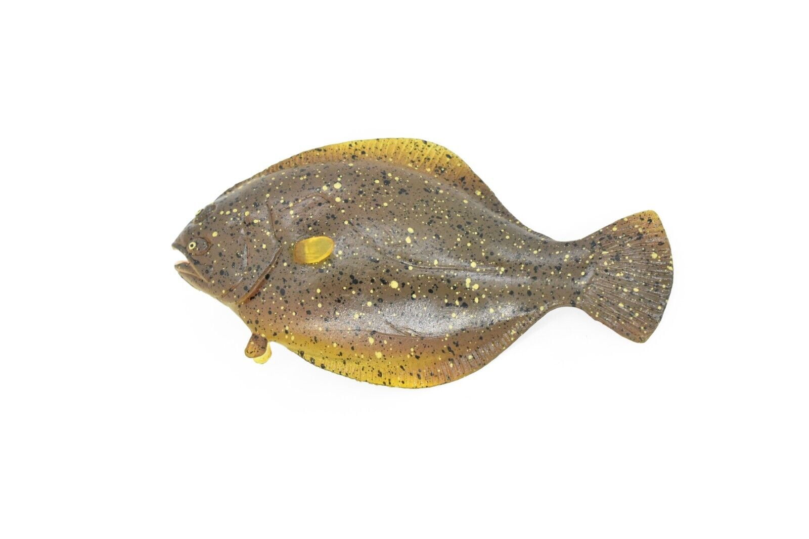 Collectible Wildlife Gifts Educational 5” Pacific Halibut Rubber ...