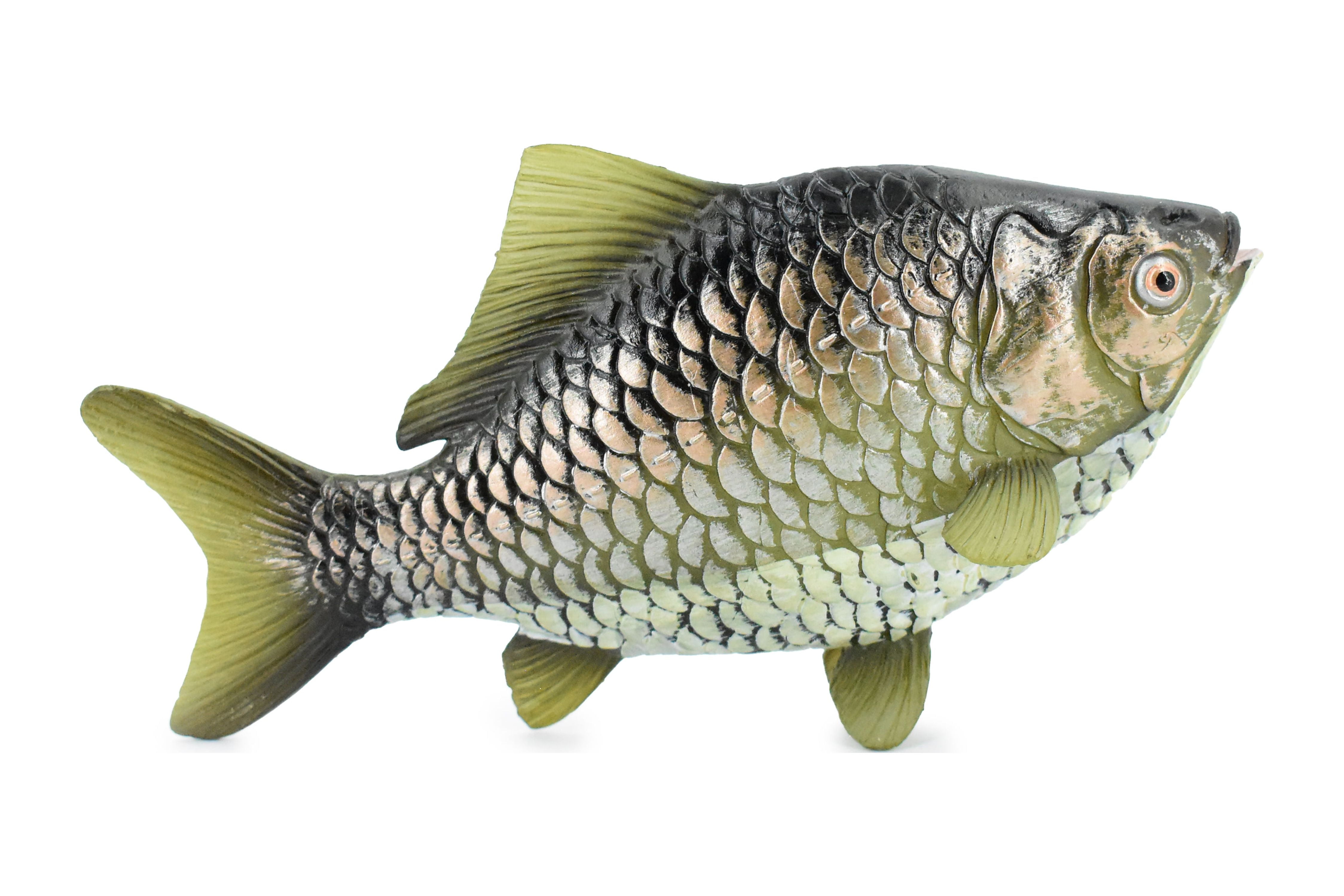 Collectible Wildlife Gifts: Pescado Crucian Carp Museum Fish Toy Action ...