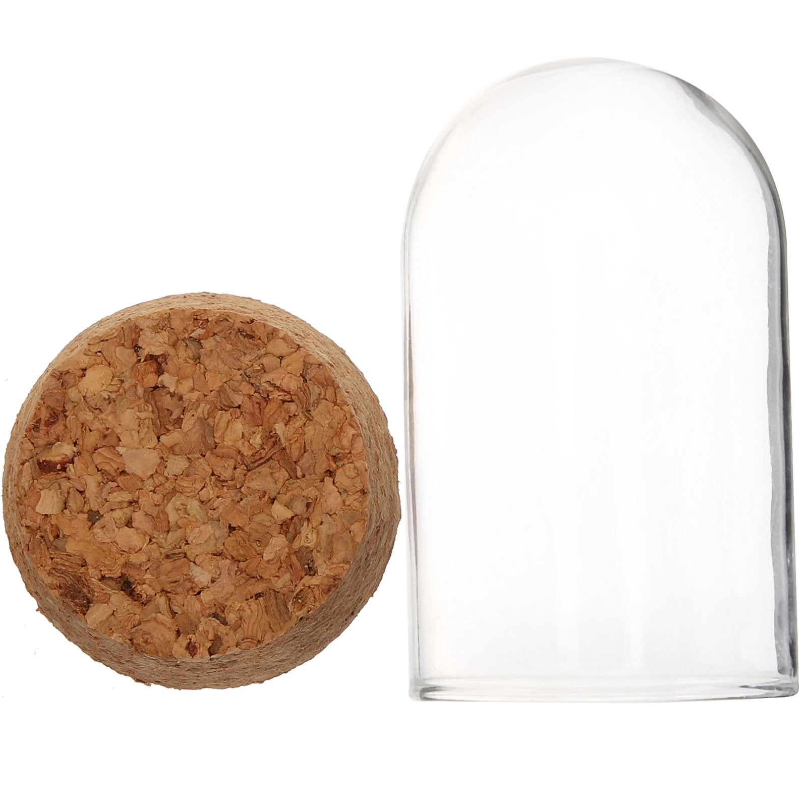 Eease Eternal Flower Glass Dome Mini Display Case with Cork Base ...