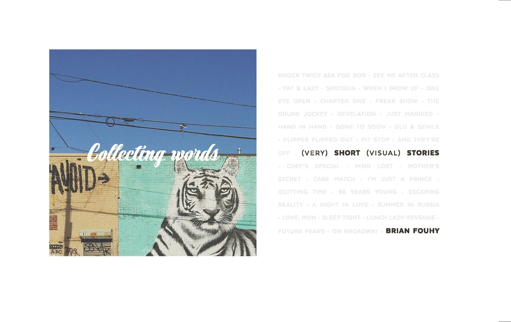 Collecting Words : Very Short Visual Stories - Walmart.com