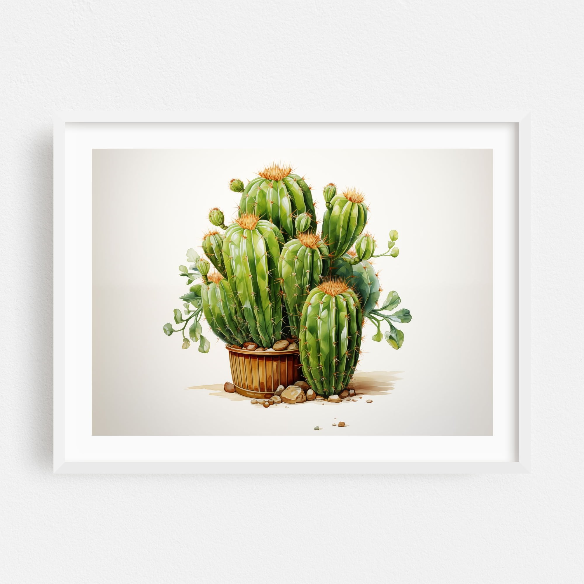 A Collection of Cacti Cactus Illustration Pencil Drawing 2 D - Digital ...