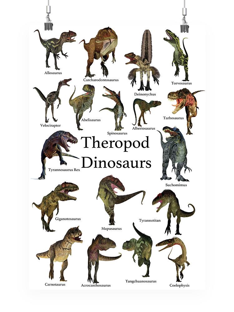Collection Set Theropod Dinos Poster - Image by Shutterstock, - Walmart.com