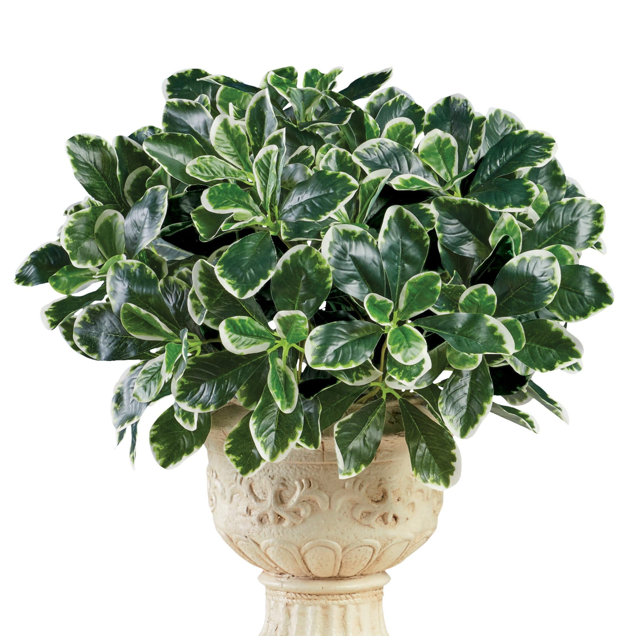 Collections Etc Artificial Shefflera Bushes - Set of 3 - Faux Shrubs, Plants - Realistic Touch ...