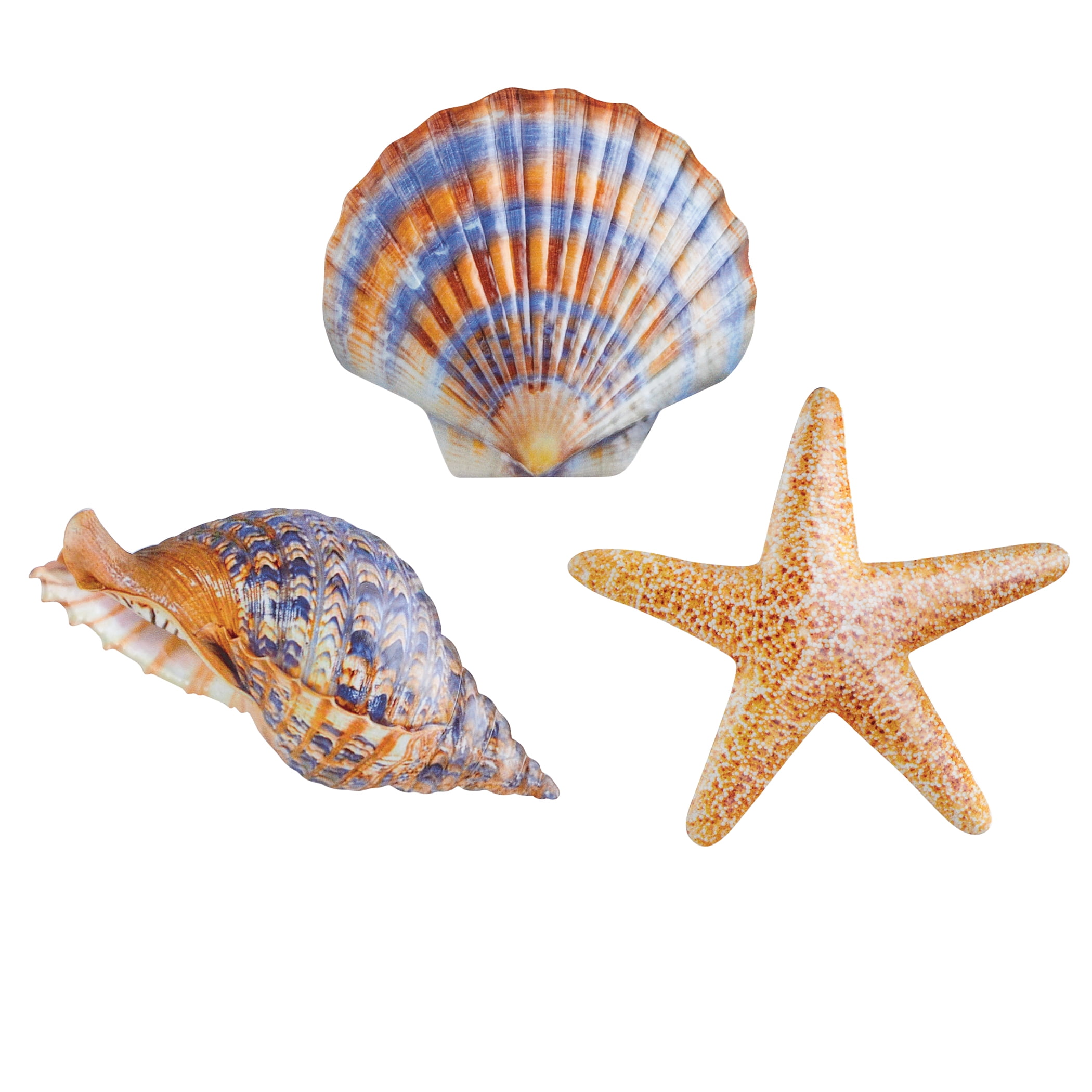 Collections Etc Coastal Seashell Metal Wall Decor - Set of 3 - Walmart.com