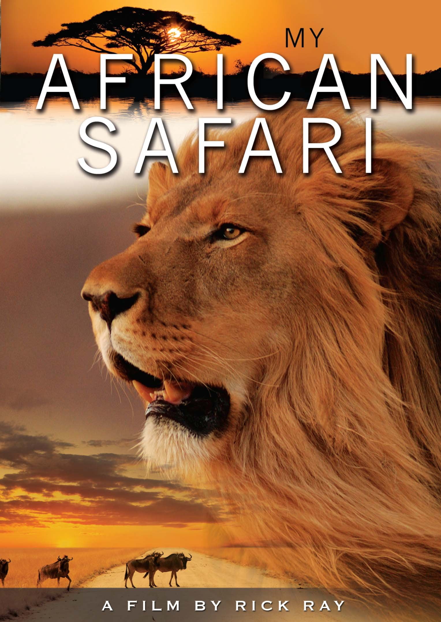 Collections Etc My African Safari DVD, 90 minutes - Walmart.com