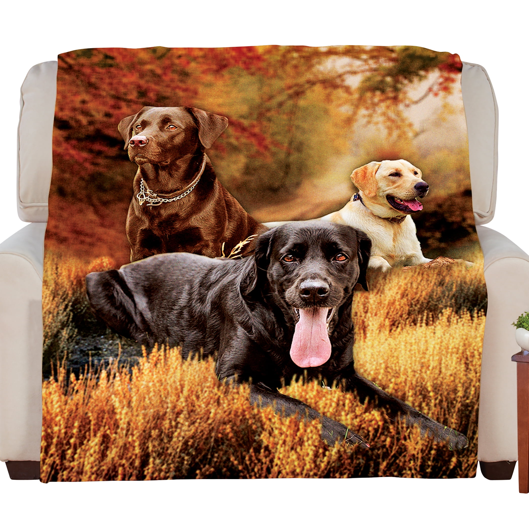 Collections Etc Realistic Dog Breed Cozy Fleece Throw Blanket - Walmart.com