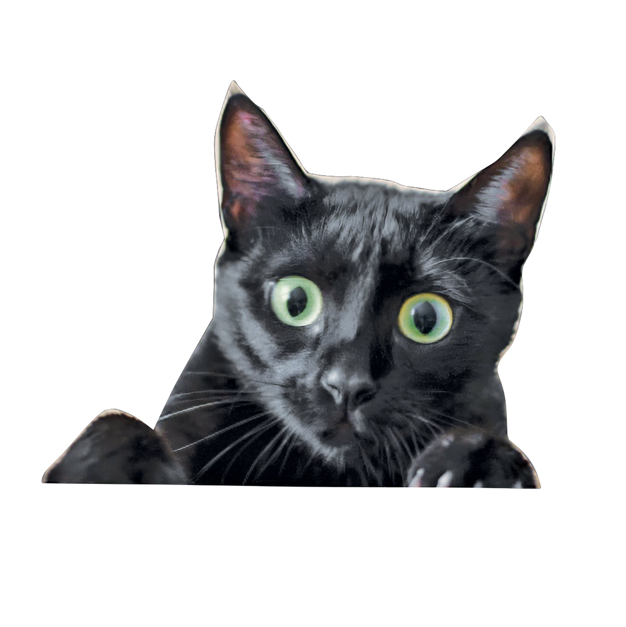Collections Etc Reusable Black Cat Vinyl Car Window Decal - Walmart.com