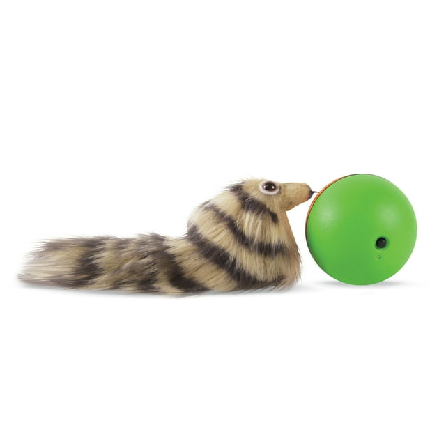Collections Etc Battery-Operated Weasel Ball for Cats & Dogs ...