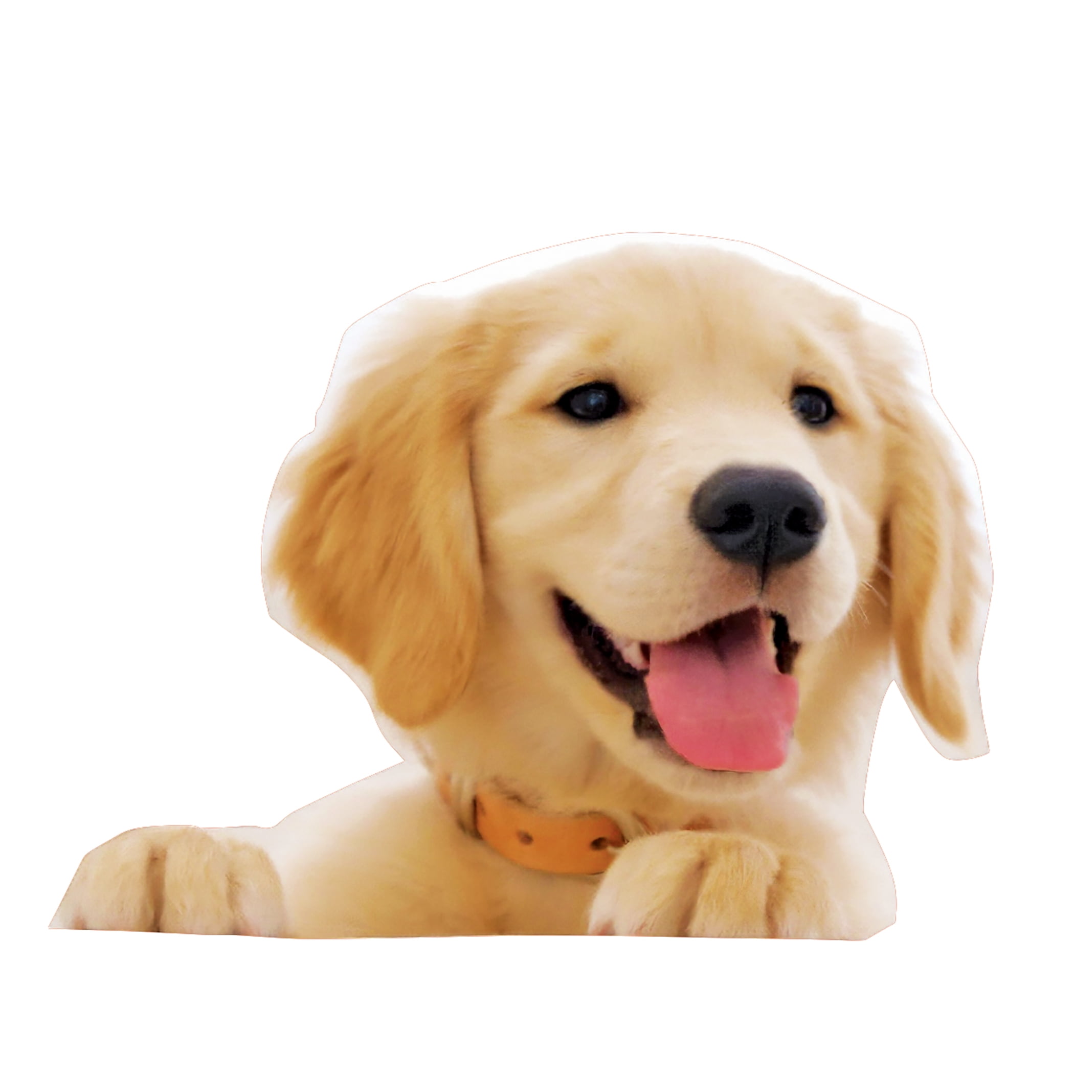 Collections Etc White Labrador Vinyl Car Window Decal - Walmart.com