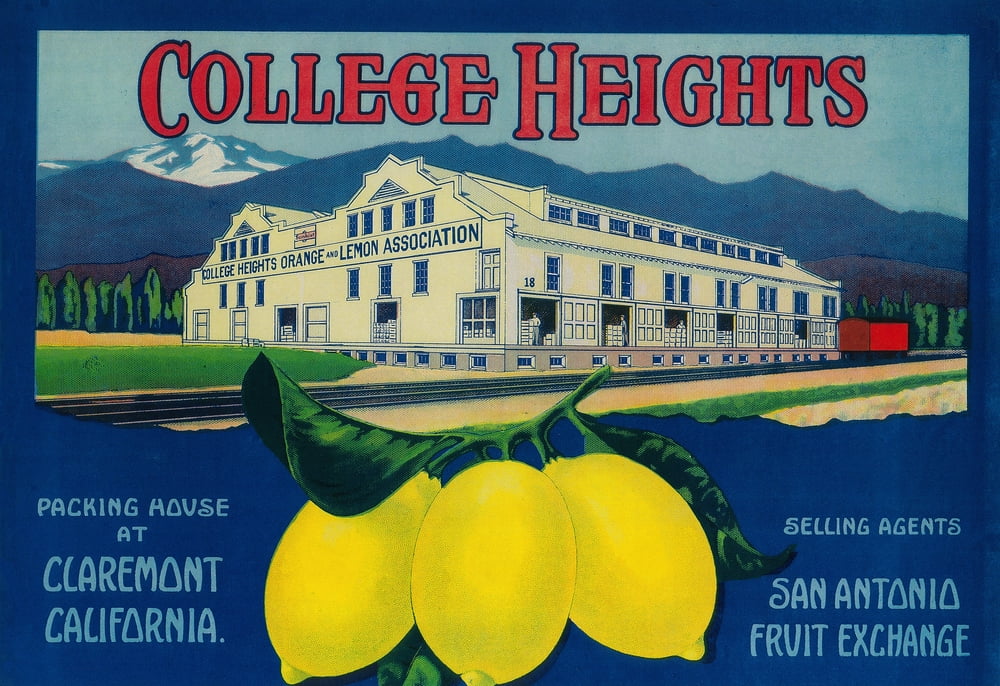 College Heights Lemon Label (24x36 Giclee Gallery Art Print, Vivid ...
