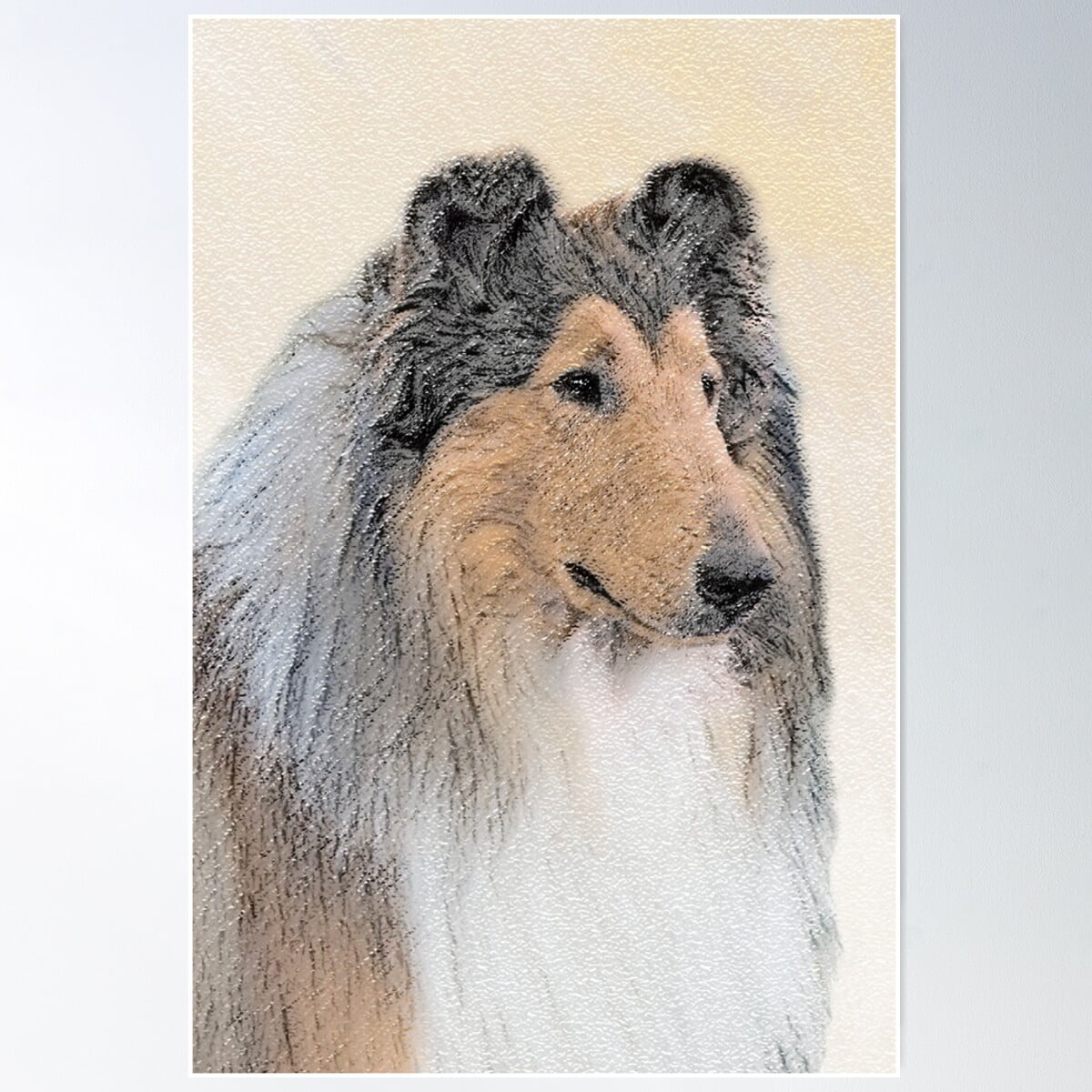 Collie (Rough) Poster, 12x18 UNFRAMED - Walmart.com