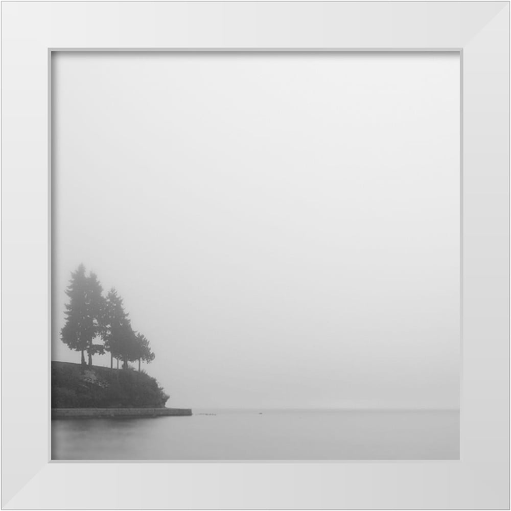 Colligan, Lynann 15x15 White Modern Wood Framed Museum Art Print Titled ...