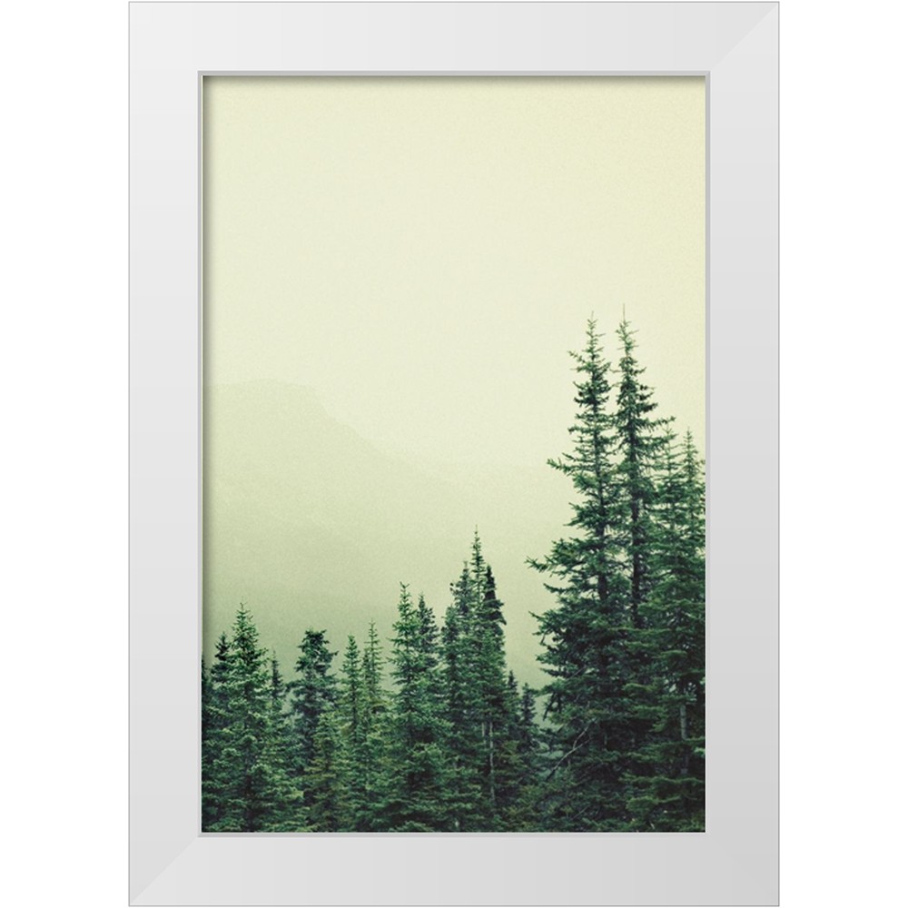 Colligan, Lynann 17x24 White Modern Wood Framed Museum Art Print Titled ...