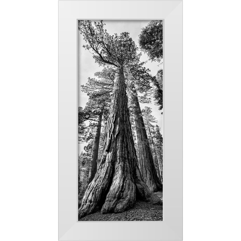 Collins, Ann 10x18 White Modern Wood Framed Museum Art Print Titled ...