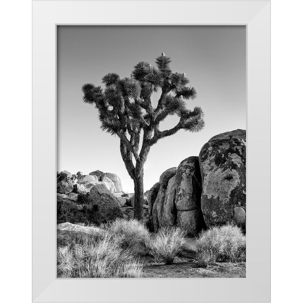Collins, Ann 25x32 White Modern Wood Framed Museum Art Print Titled ...