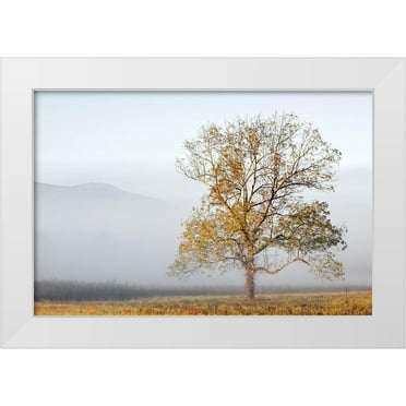 Coulter, Cynthia 12x12 White Modern Wood Framed Museum Art Print Titled - Navy Blue Horizons I ...