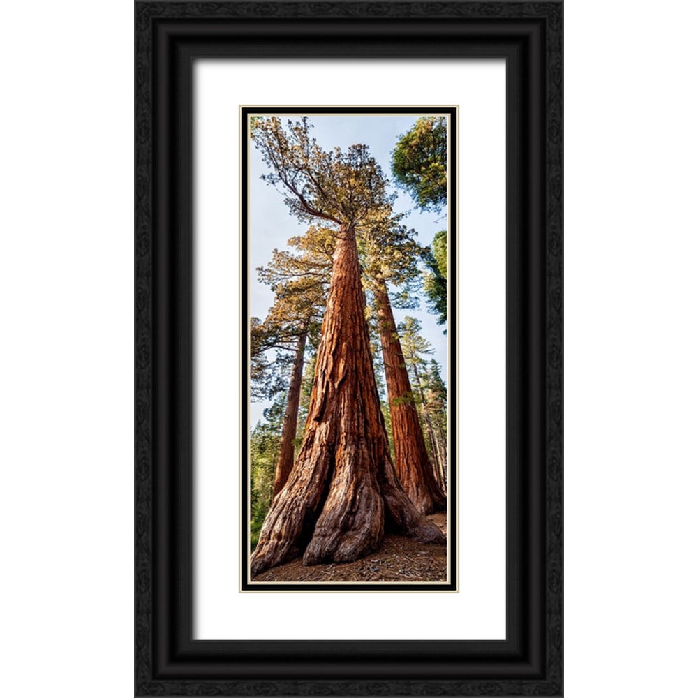 Collins, Ann 8x14 Black Ornate Wood Framed with Double Matting Museum ...