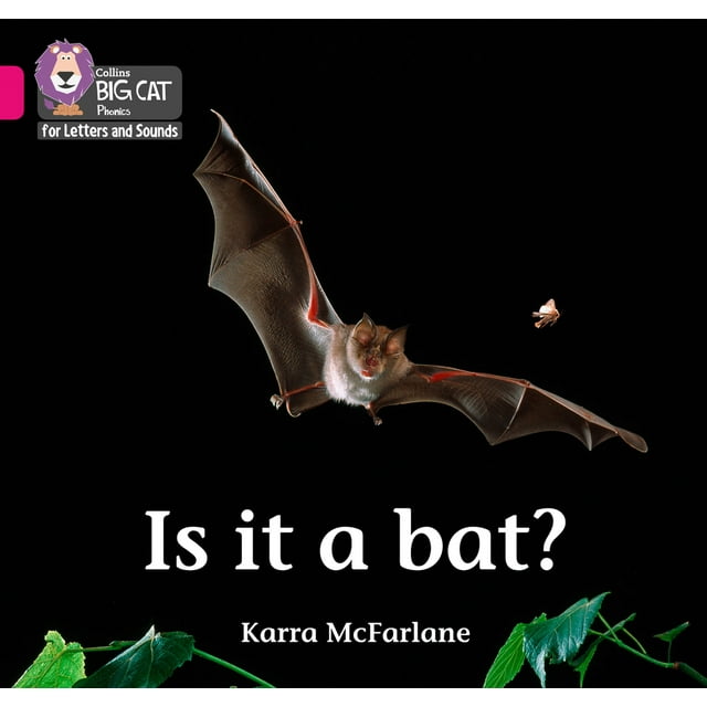 Collins Big Cat: Collins Big Cat Phonics for Letters and Sounds – Is it ...