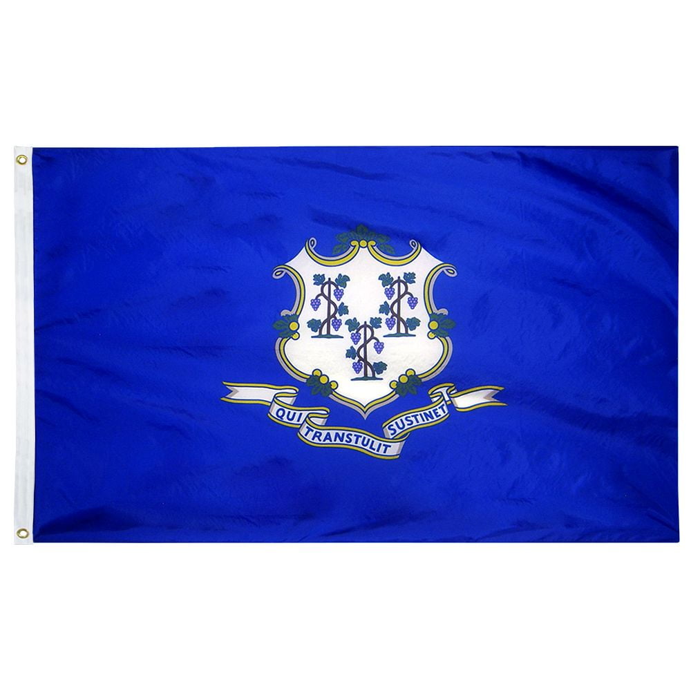 Collins Flags: Connecticut State Flag - Polyester 3' x 5' - Walmart.com