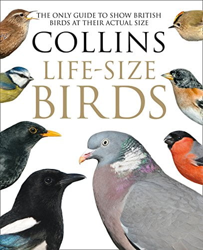 Collins Life-size Birds : The Only Guide to Show British Birds at Their ...