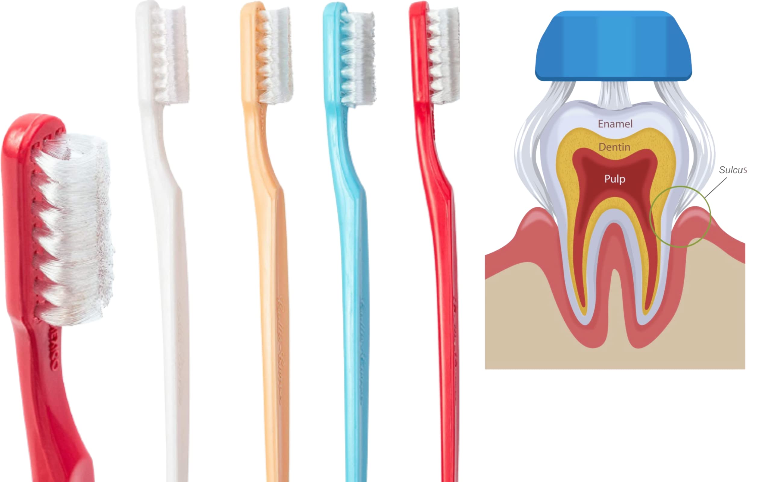 Collis Curve - Soft MMF7 3 Sided Toothbrush - Orthodontic Toothbrushes ...