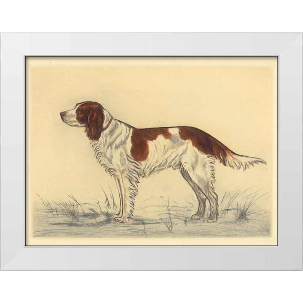 Collot, Andres 18x15 White Modern Wood Framed Museum Art Print Titled ...