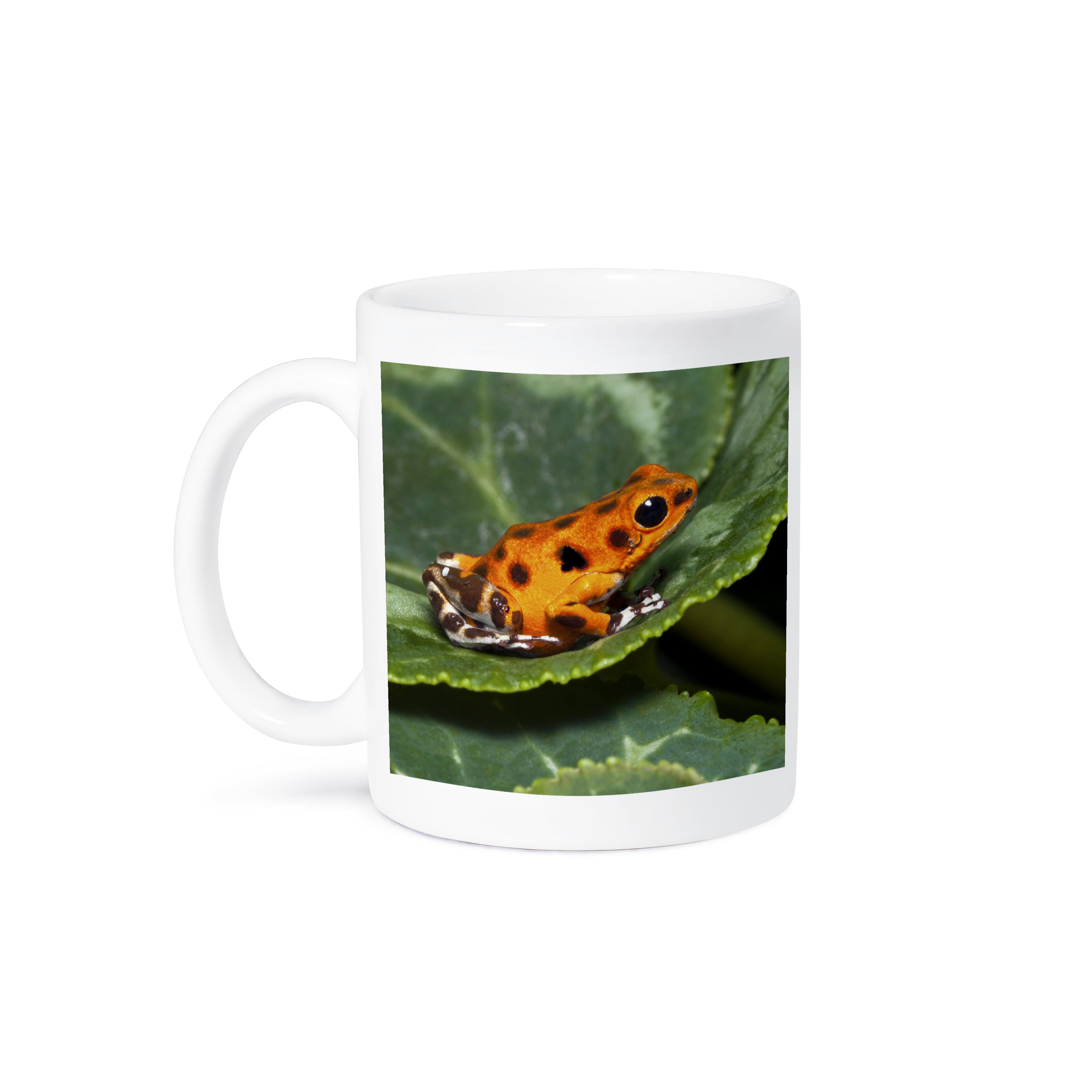3drose, Colon Isle Dart Frog, Aka Strawberry Poison-dart Frog - Na02 ...
