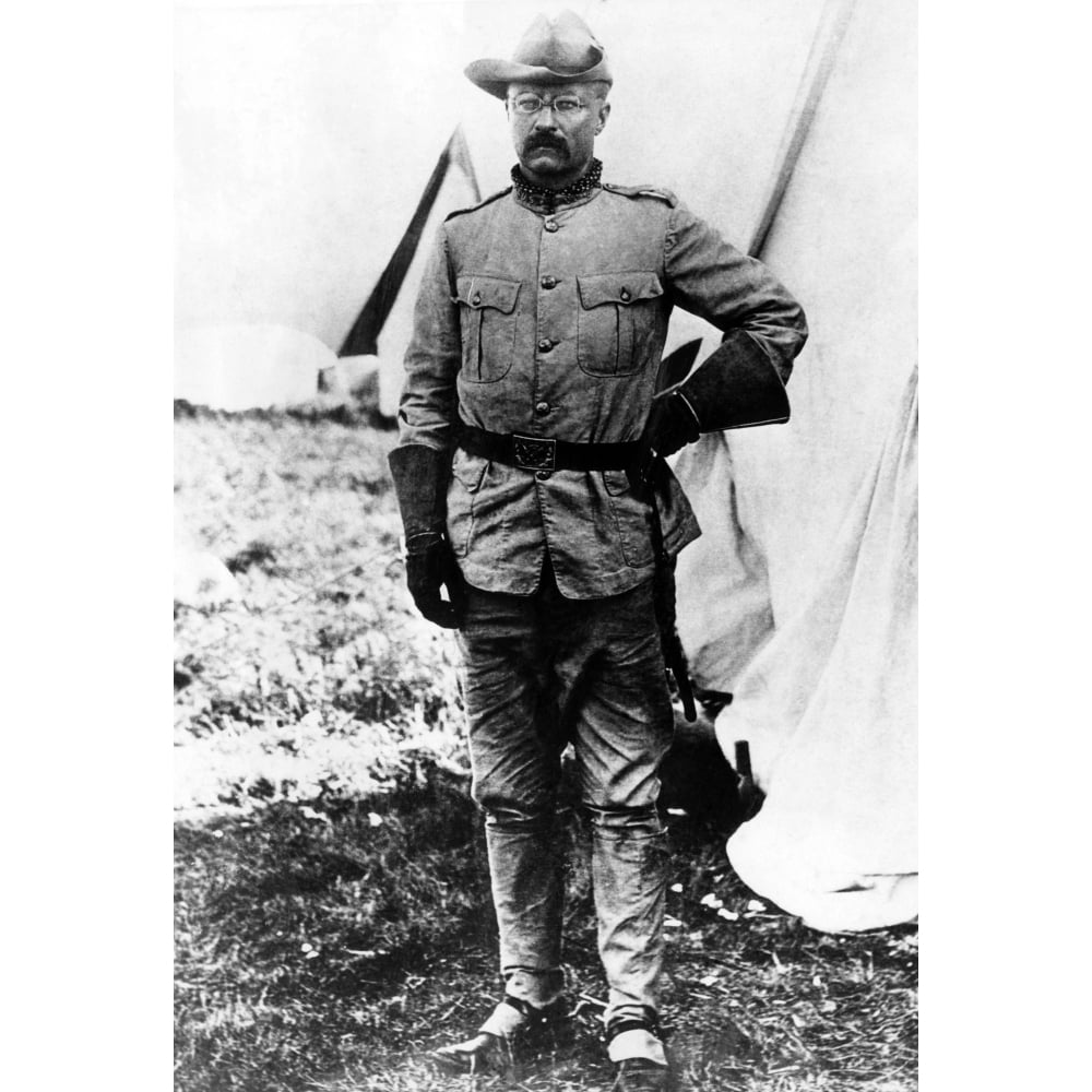 Colonel Theodore Roosevelt History Poster Print - Walmart.com