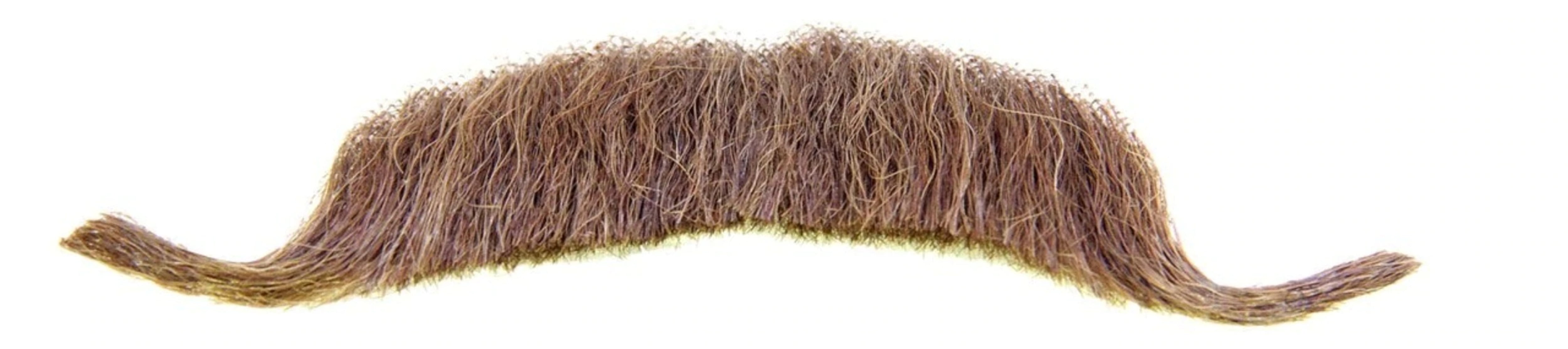 Colonel Major Moustache w/Spirit Gum Adhesive - 100% Human Hair - no ...