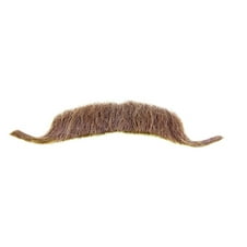 Fake Moustache