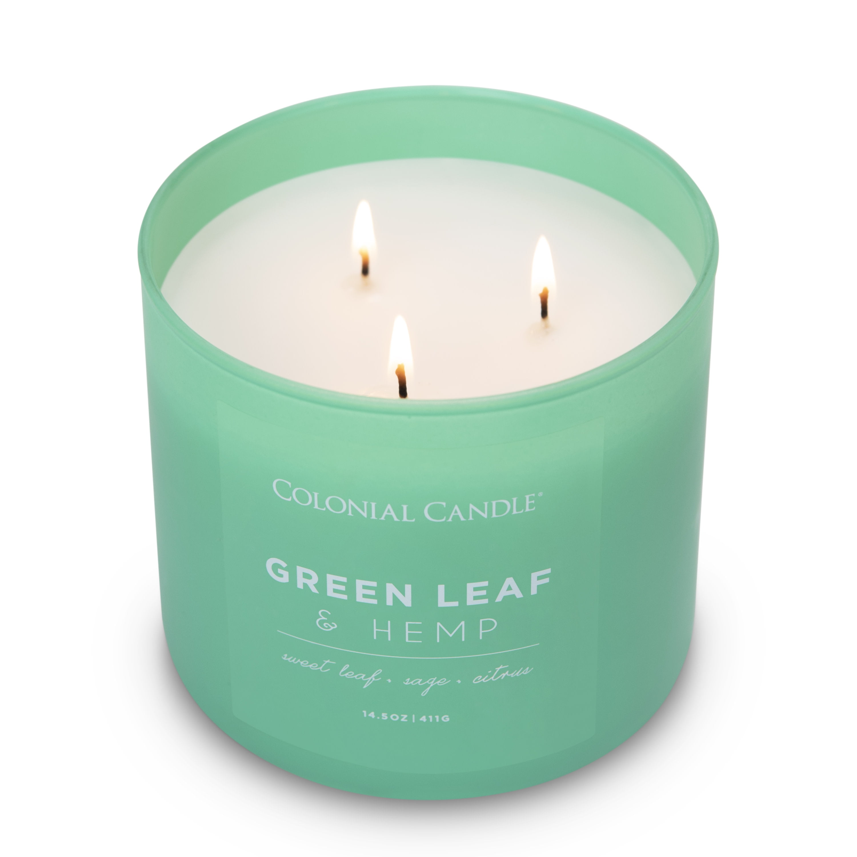 Colonial Candle Pop of Color Green Leaf & Hemp Jar Candle, 3 Wick, 14.5 ...