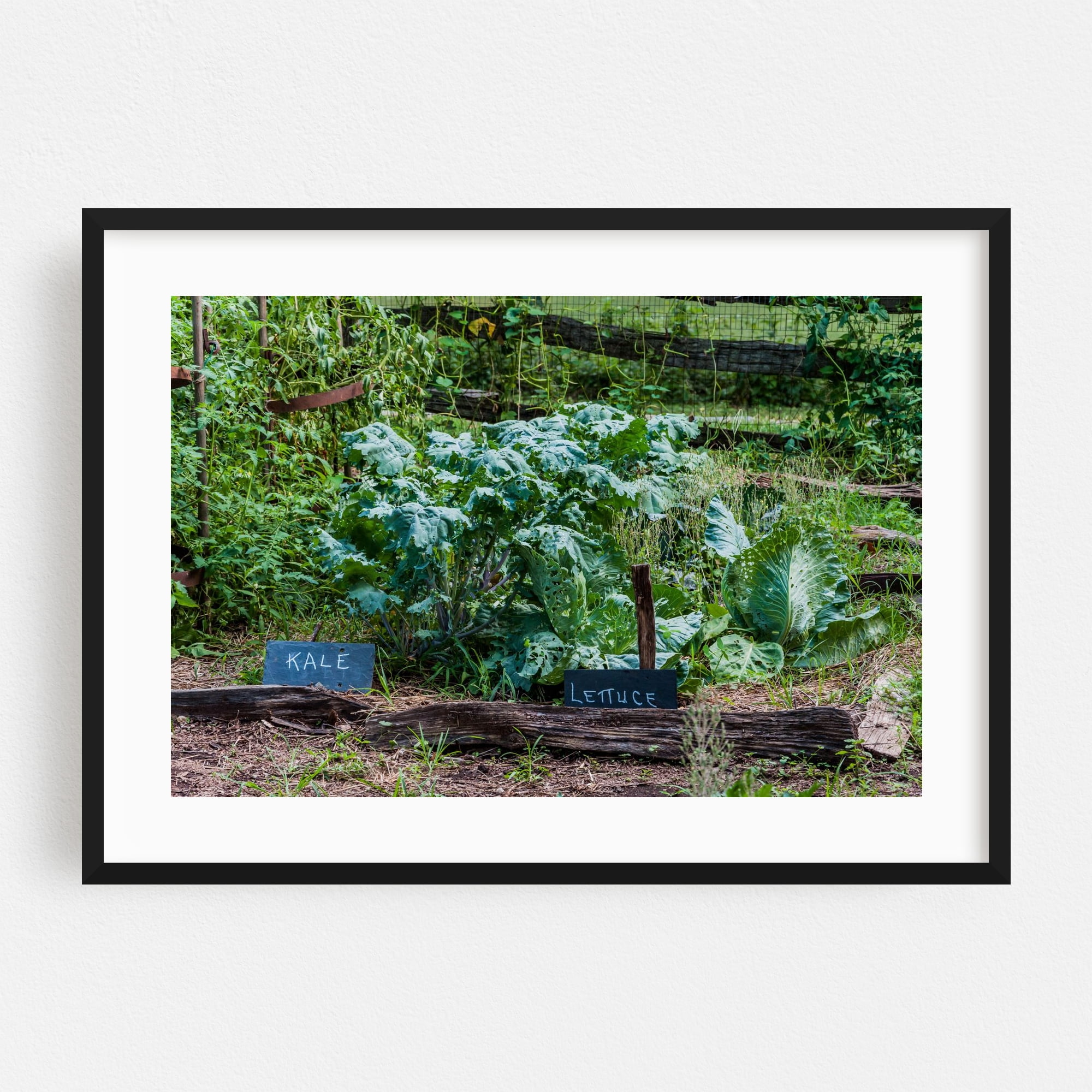 Colonial Garden - Harpers Ferry West Virginia Photography Garden ...