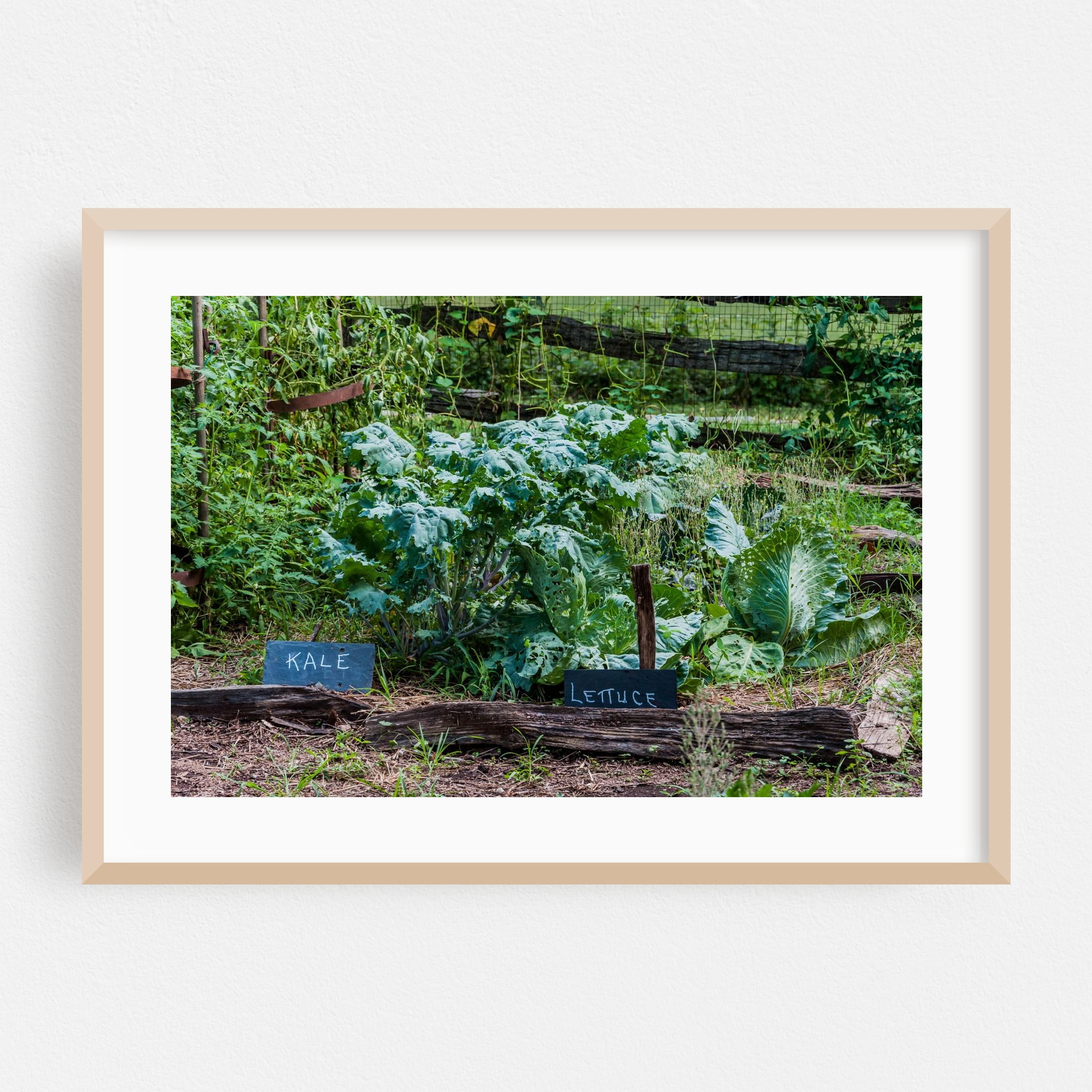 Colonial Garden - Harpers Ferry West Virginia Photography Garden ...