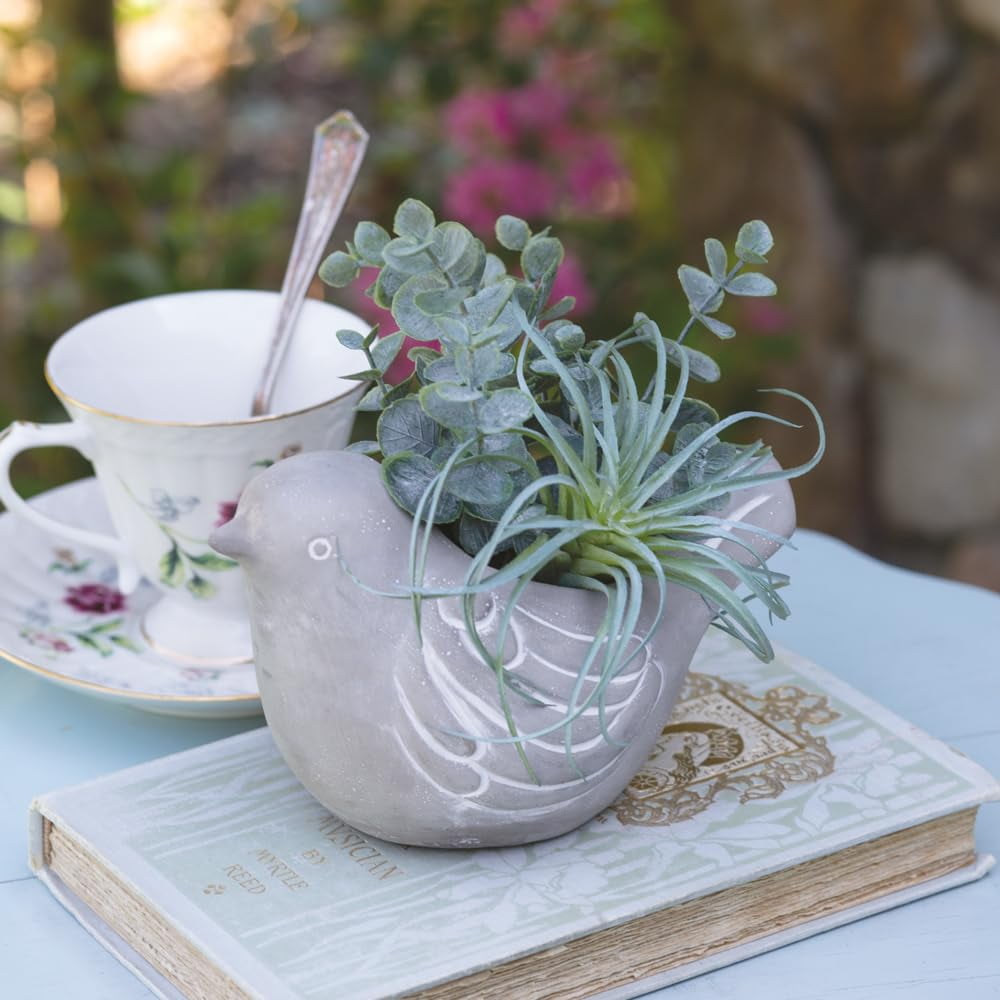 Colonial Tin Works Small Cement Bird Pot, 4.25-inch Height, Home, Home ...