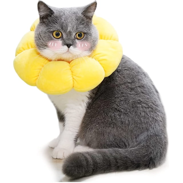 Coloody Adjustable Cat Dog Recovery Collars Cones , After Surgery ...