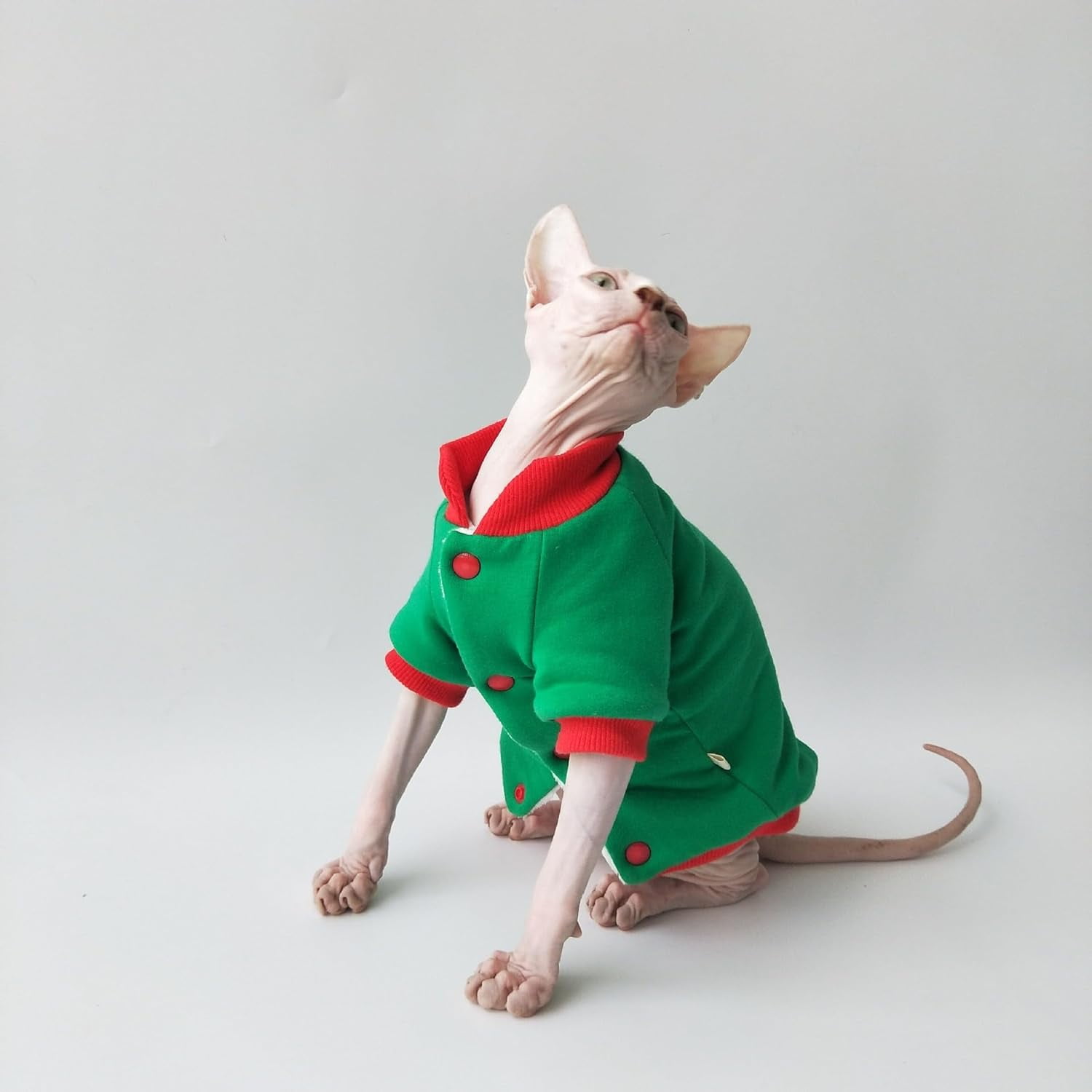 Coloody Sphynx Cat Clothes, Hairless Cat Apparel, Cat Sweaters for Cats ...