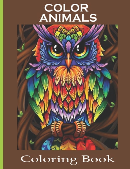Color Animals Coloring Book - Walmart.com