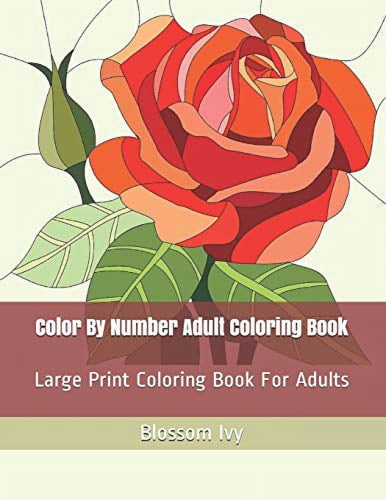 Pre-Owned Color By Number Adult Coloring Book: Large Print Coloring ...
