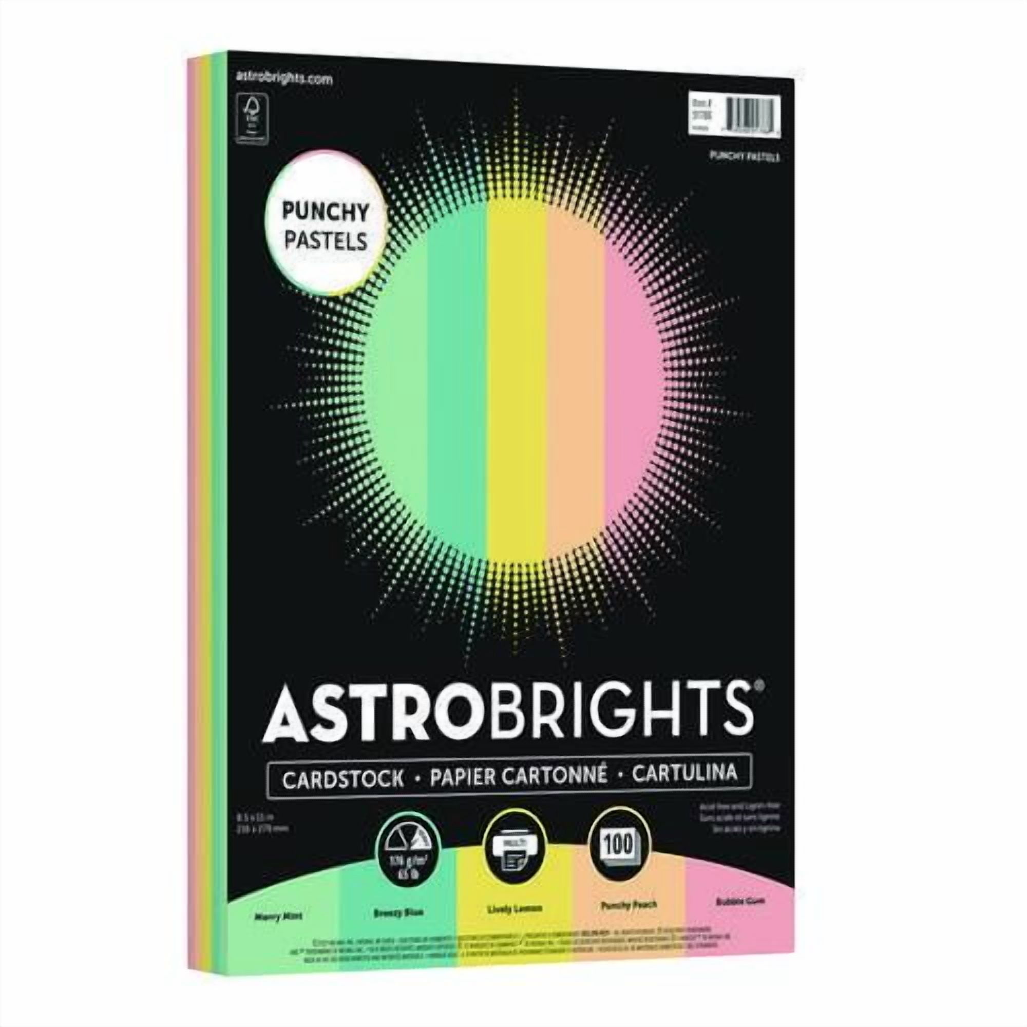 Color Cardstock -"Punchy Pastels" Assortment, 65 lb Cover Weight, 8.5 x ...