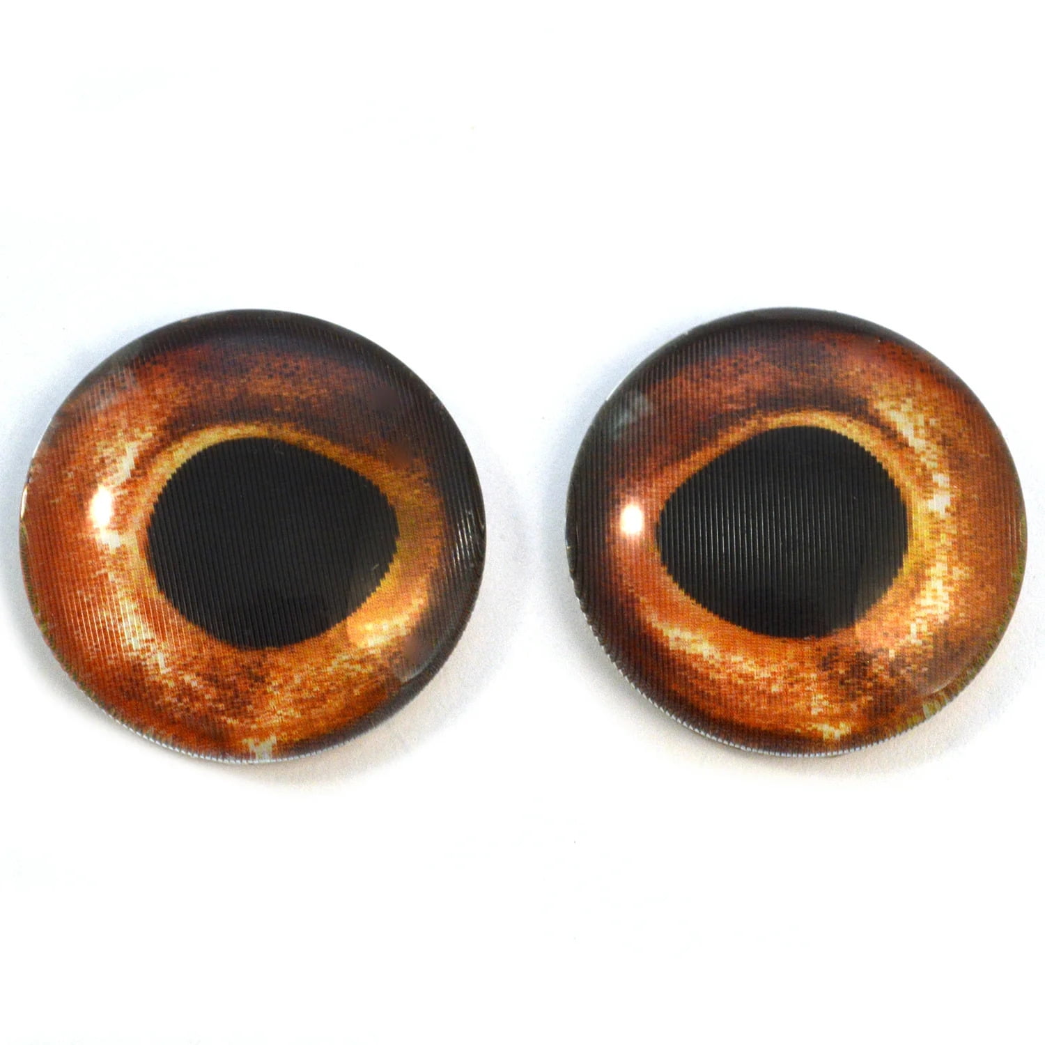 Color Changing Fish Animated Perch Glass Eyes - Walmart.com