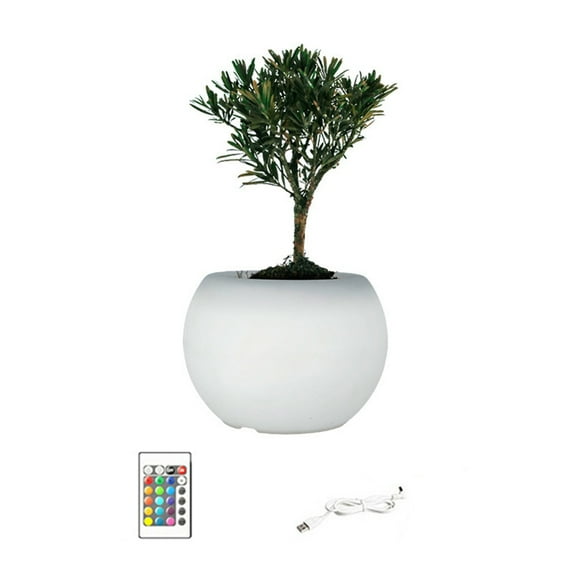 Color Changing LED Planter Pot For Succulents Indoor Gardening And Home ...