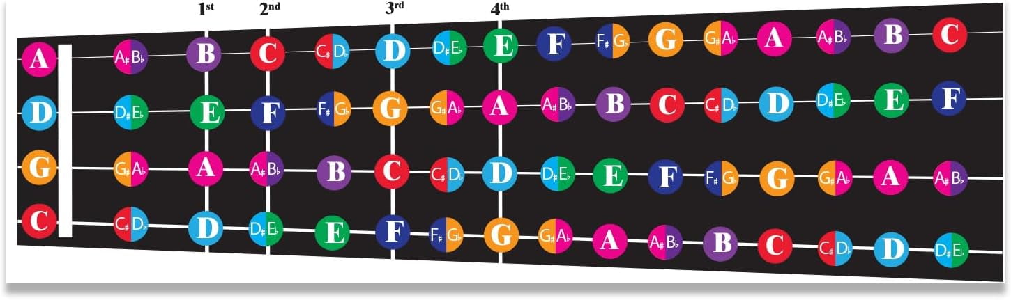 Color Coded Cello/Viola Fretboard Note Chart, Learn to Play Cello/Viola ...