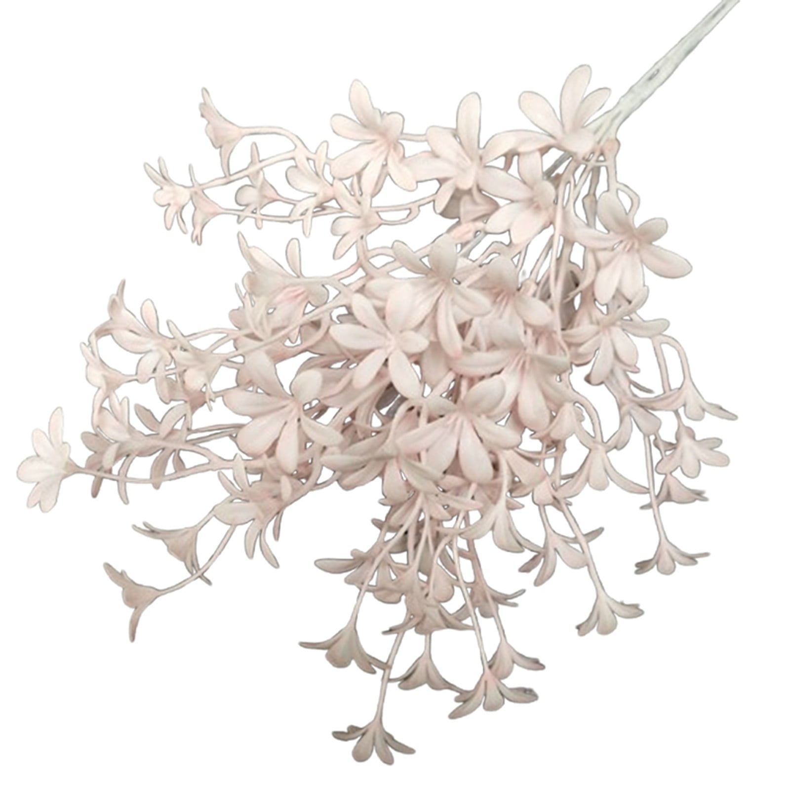 Color Fork Flowers Small Dream Orchid - Multicolored , for Home ...