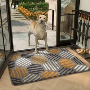 Indoor/outdoor Entryway Rugs